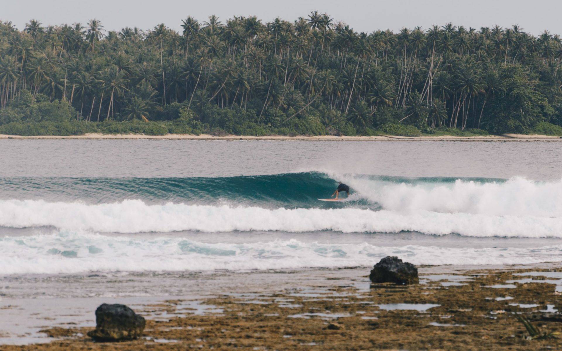 3-feet barrel Nias » Indo Surf Crew