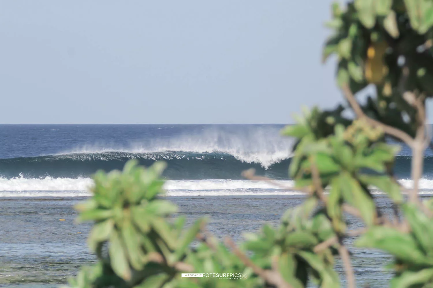 Volunteering Before Surfing, Meet Ryan - Founder of LOG Rote » Indo ...