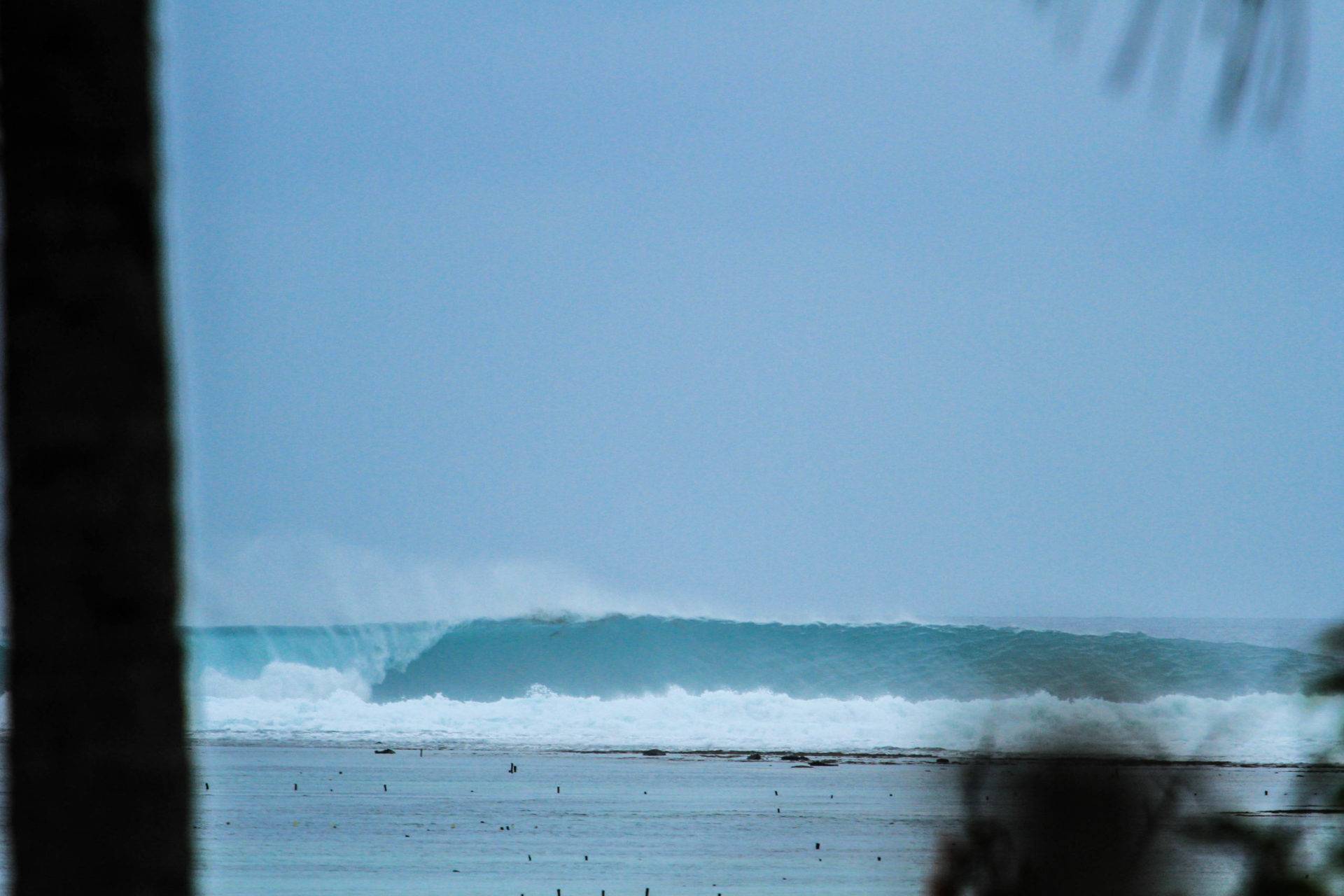 T Land (1 of 1) » Indo Surf Crew