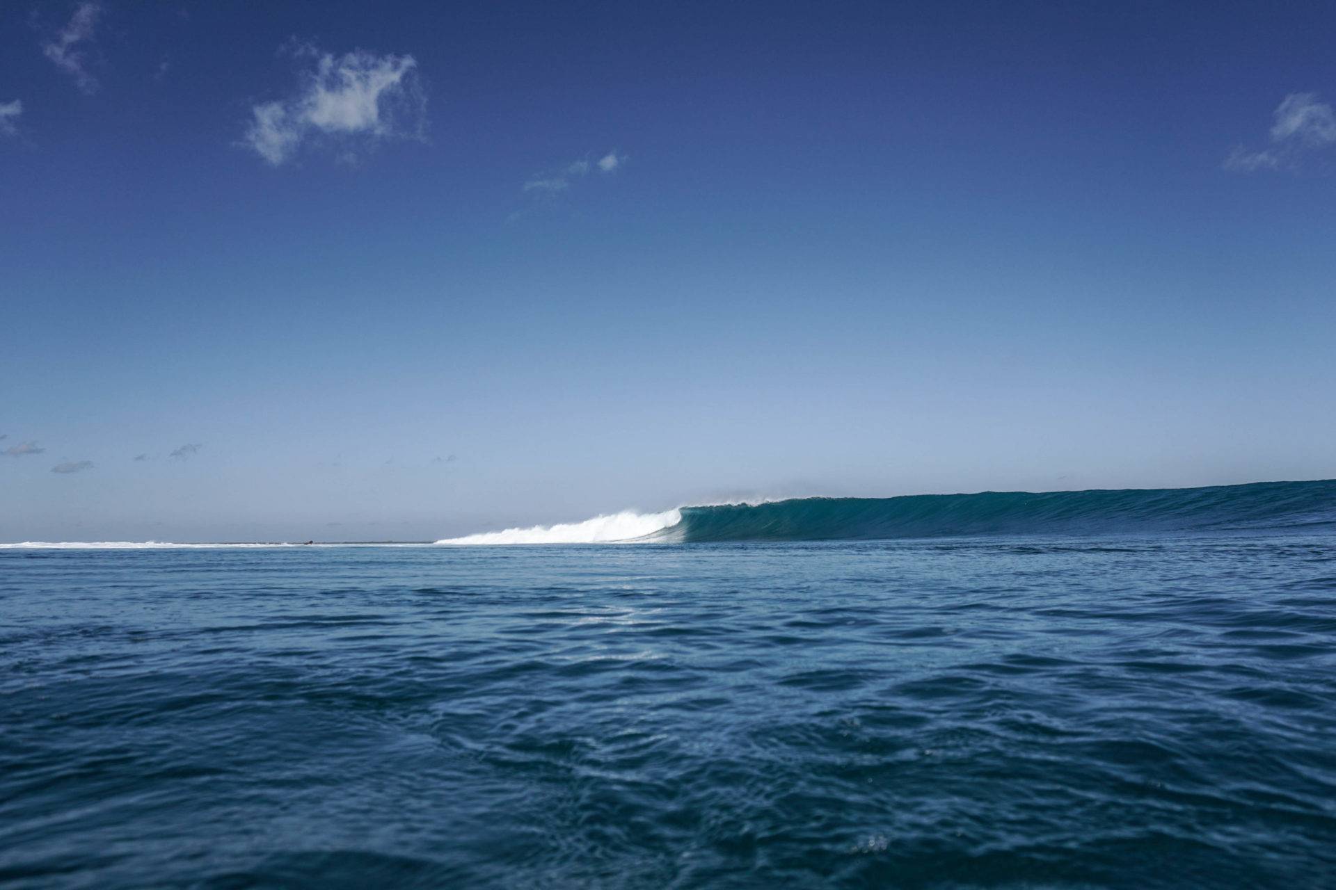 T Land small (1 of 1) » Indo Surf Crew